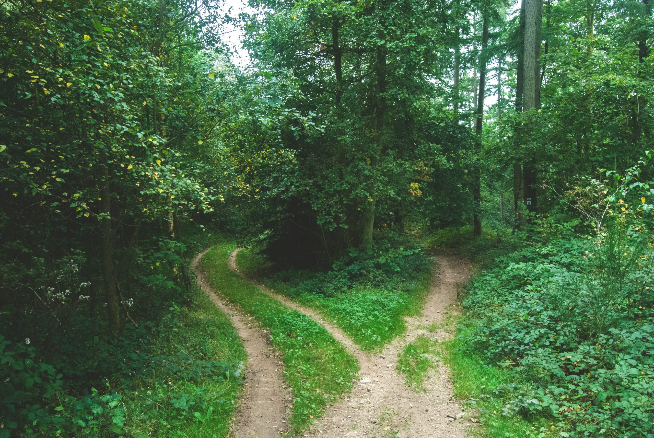 How many paths are there to salvation? - America Magazine