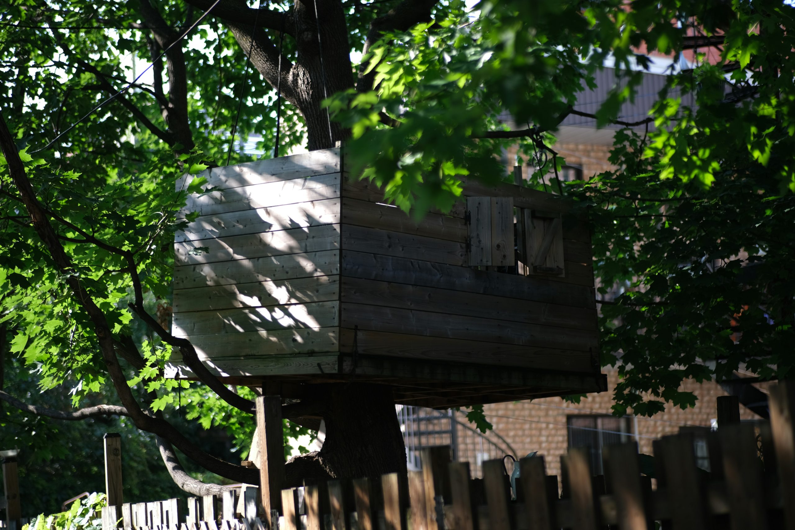 A glimpse of heaven from a childhood tree house - America Magazine