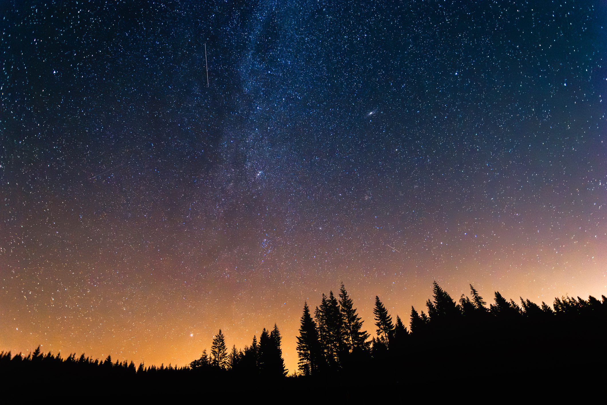 How my Catholic faith informs my environmental advocacy - America Magazine